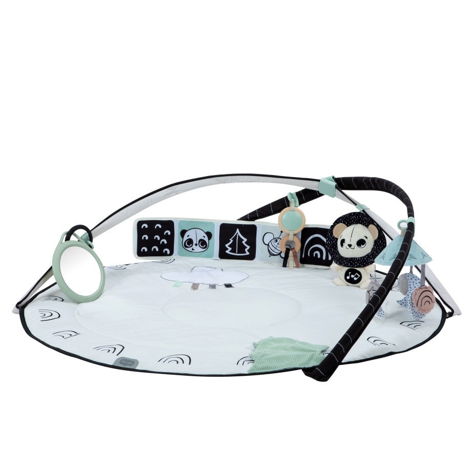 Black & White Décor Developmental Gymini